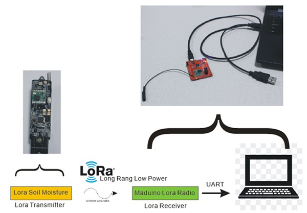 Lora Soil Moisture Sensor V3