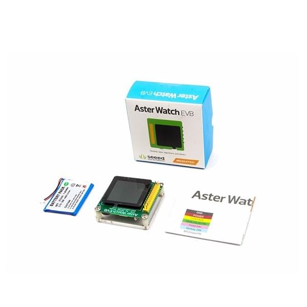 Aster Watch Evb - 102030004