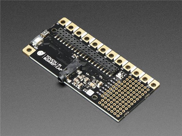 Bare Conductive Pi Cap - 3224